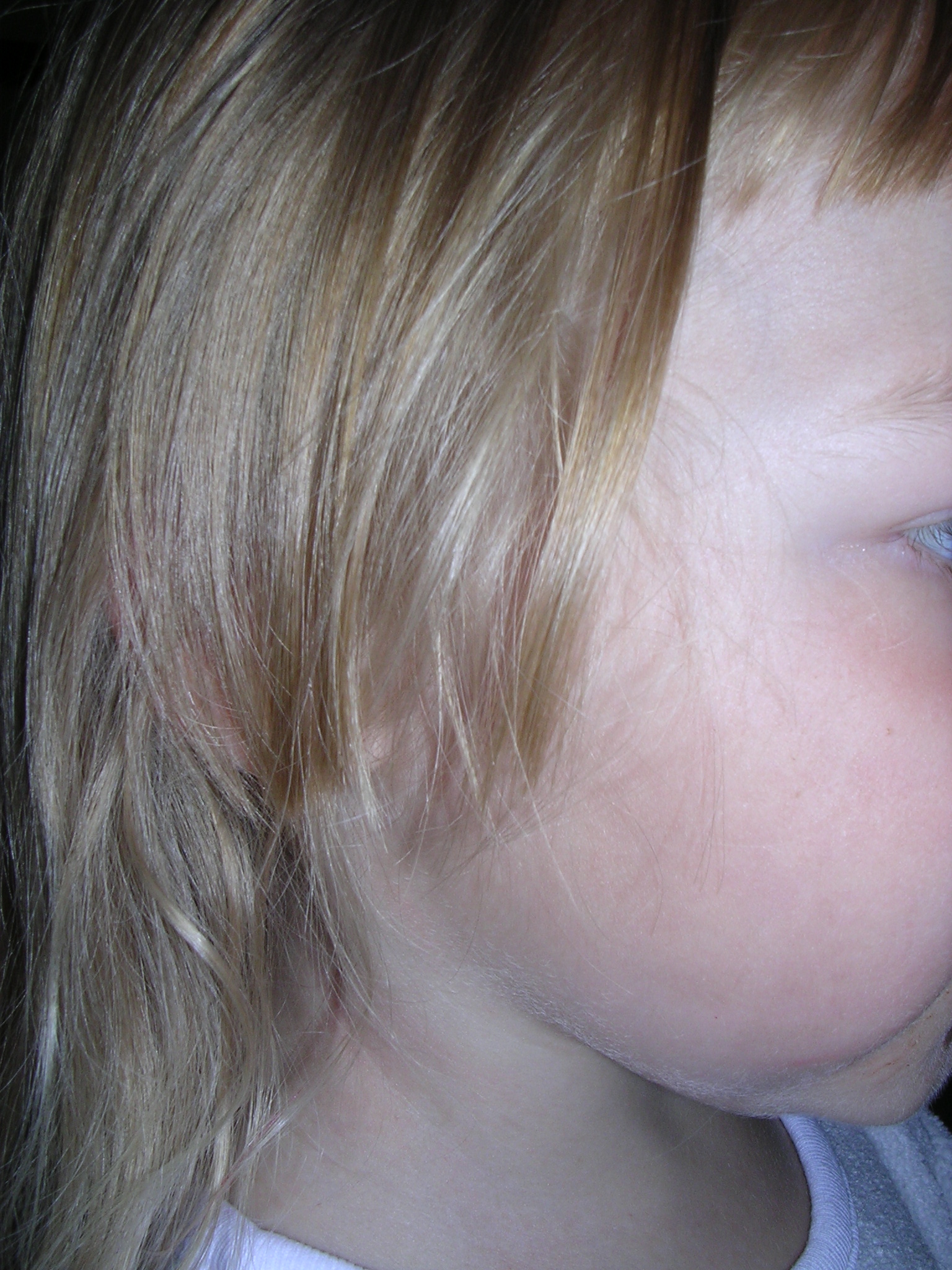 Brooke cut her hair… – Elisa's Ramblings