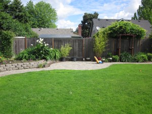 The Perfect Yard….. does it ever really exist? – Elisa's Ramblings
